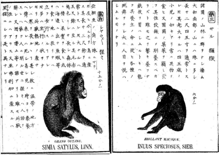 Creatures of Myth and Modernity: Meiji-Era Representations of Shōjō ...